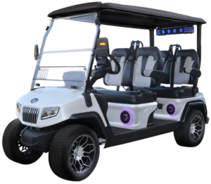 Turfman 200 | Evolution Electric Vehicles