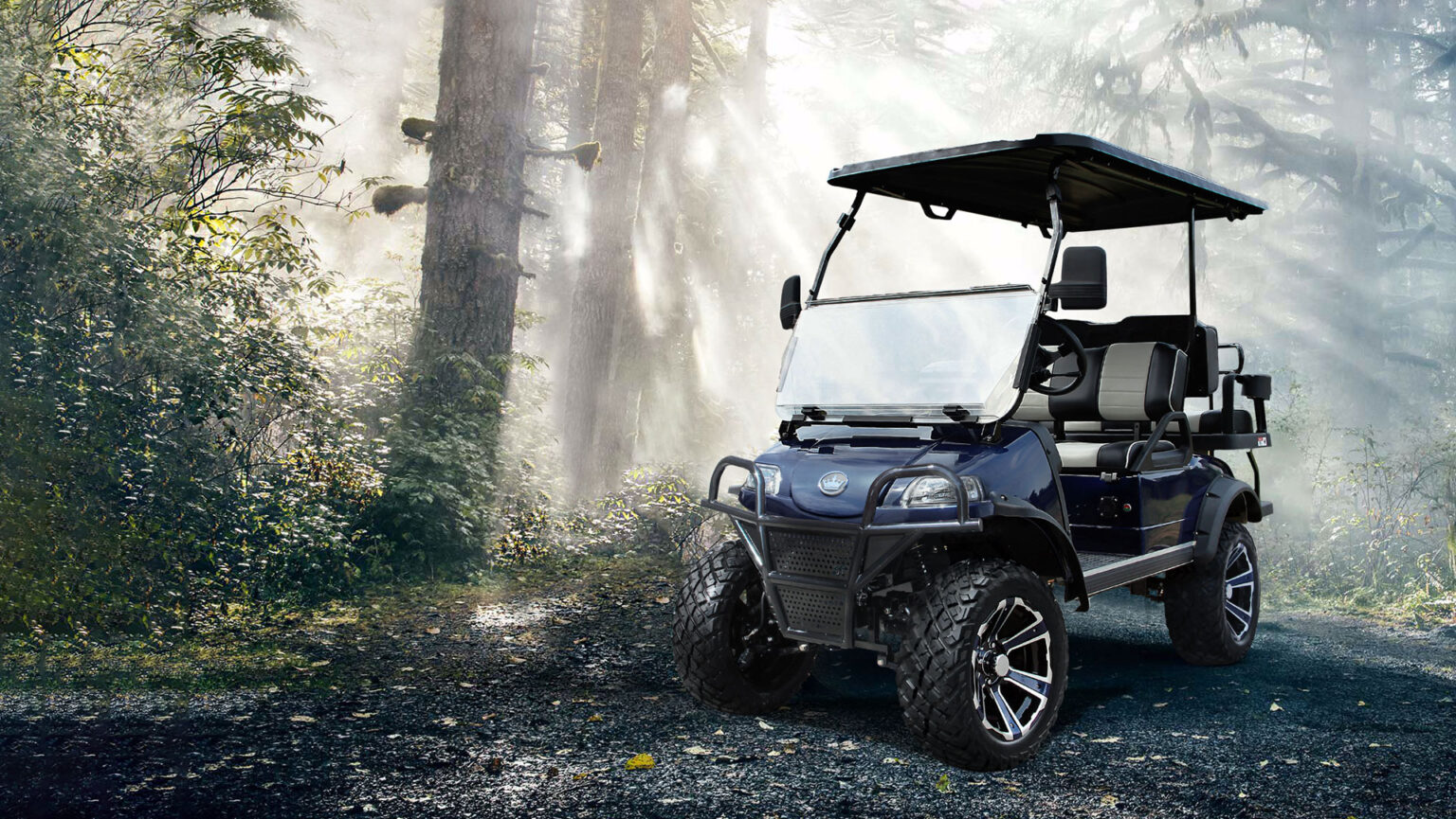 Home | Evolution Electric Vehicles