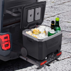 Home | Evolution Electric Vehicles