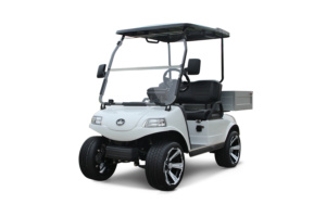 Turfman 200 | Evolution Electric Vehicles